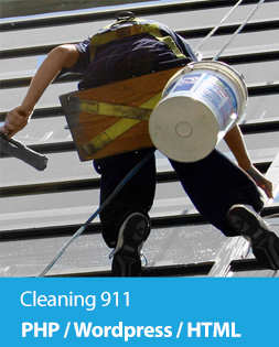 Cleaning 911 - Web Design in Toronto